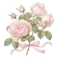 Coquette Roses roses art illustration. | Free Photo Illustration - rawpixel