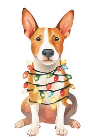 Cute dog wrapped Christmas Lights | Free Photo Illustration - rawpixel