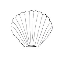 Shell sketch line clam. | Premium Photo Illustration - rawpixel