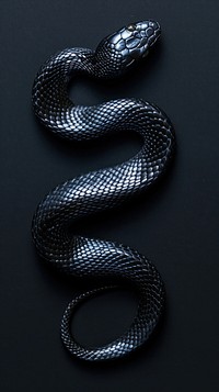 Aerial top view Snake snake | Premium Photo - rawpixel