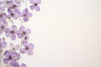 Real pressed lilac flowers backgrounds | Premium Photo - rawpixel
