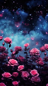 Black roses field night backgrounds | Free Photo - rawpixel