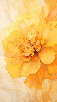 Marigold flower abstract petal plant. | Free Photo Illustration - rawpixel