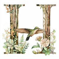 letter H hummingbird nature forest. | Free Photo Illustration - rawpixel
