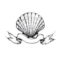 Ribbon shell art invertebrate illustrated. | Free Photo Illustration ...