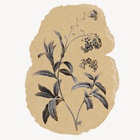 Aesthetic flowers sticker, ripped paper | Premium PSD - rawpixel