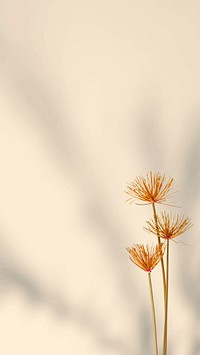 Dried Papyrus branches wall vector | Premium Vector - rawpixel