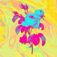 Hand drawn funky english rose | Premium PSD - rawpixel