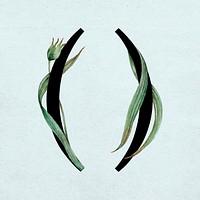 Vector parenthesis sign floral vintage | Premium Vector - rawpixel