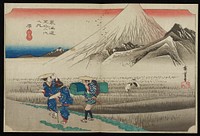 Mt. Fuji background; grayish rice | Free Photo - rawpixel