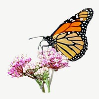 Butterfly & flower collage element | Premium PSD - rawpixel