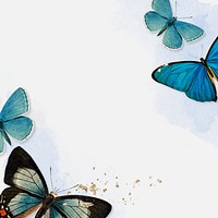 Blue butterfly border background | Premium Photo - rawpixel
