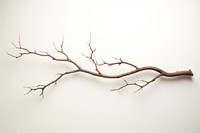 Branch plant tree wood. AI | Free Photo - rawpixel