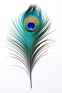 Peacock feather pattern bird. AI | Premium Photo - rawpixel