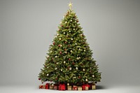 Christmas tree plant pine. AI | Premium Photo - rawpixel
