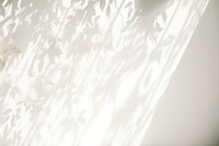 White curtain shadow light | Premium Photo - rawpixel