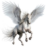 Pegasus animal mammal horse. | Premium Photo Illustration - rawpixel