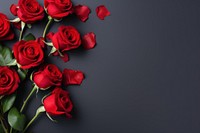 Red roses flowers petal plant | Premium Photo - rawpixel