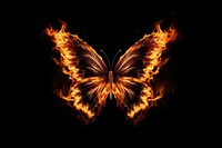Butterfly fire butterfly burning. AI | Premium Photo - rawpixel