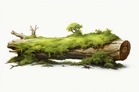 detailed Moss - covered log | Free Photo Illustration - rawpixel