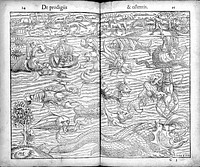 Prodigiorum ac ostentorum chronicon, : | Free Photo Illustration - rawpixel