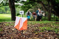 Orienteering box outdoor forest | Premium Photo - rawpixel