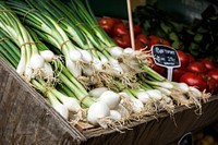 Spring onion | Free Photo - rawpixel