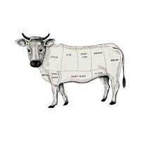 Illustration different parts cow | Premium Vector Illustration - rawpixel