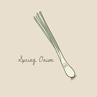 Vector of a spring onion | Premium Vector Illustration - rawpixel
