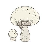 Vector of mushroom | Premium Vector Illustration - rawpixel