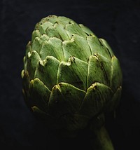 Macro shot of artichoke vegetable | Premium Photo - rawpixel