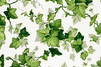 Twisting ivy leaves (1840s) pattern | Free Photo Illustration - rawpixel