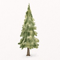 Watercolor fir tree, spring collage | Premium PSD - rawpixel