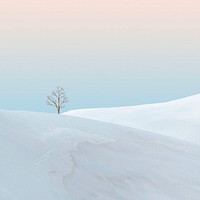 Creative background psd minimal snow-covered | Premium PSD - rawpixel