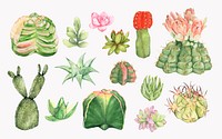 Hand drawn cactus collection | Premium Vector Illustration - rawpixel