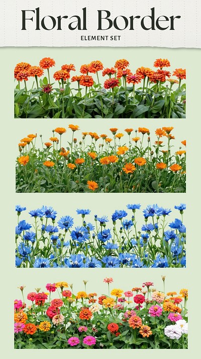 Summer flower border set, editable | Premium Editable Design - rawpixel