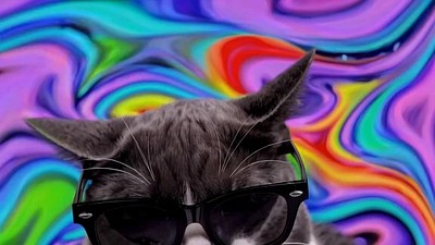 Staring cat sticker illustration | Premium Photo - rawpixel