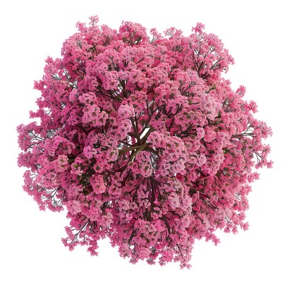 Vibrant pink flowering tree top | Premium Photo - rawpixel