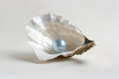 PNG Elegant shell blue pearl | Free PNG - rawpixel
