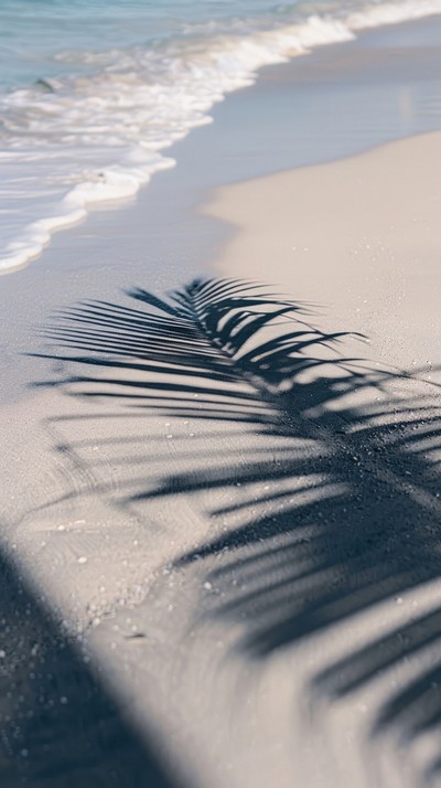 Serene tropical beach shadow | Premium Photo - rawpixel