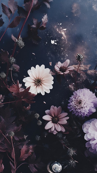 Combination Purple flowers outdoors nature | Premium Photo Illustration ...