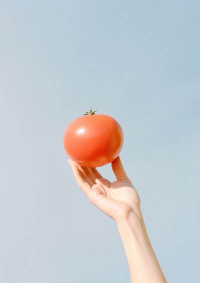 person holding tomato two tomato | Premium Photo - rawpixel