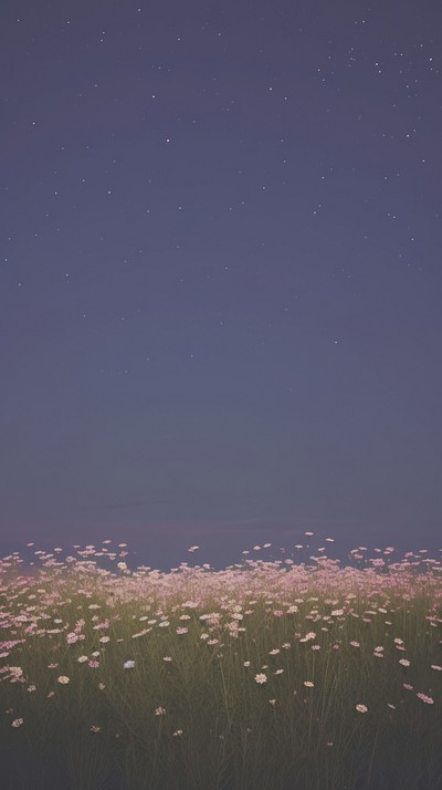Esthetic flower field nighttime landscape | Premium Photo - rawpixel