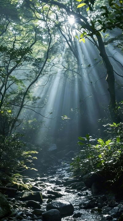 Nature vegetation sunlight outdoors. AI | Premium Photo - rawpixel