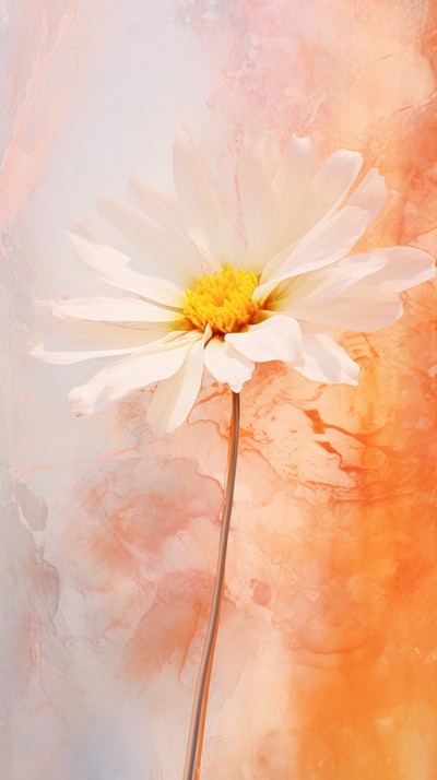 Daisy flower abstract painting petal. | Free Photo Illustration - rawpixel