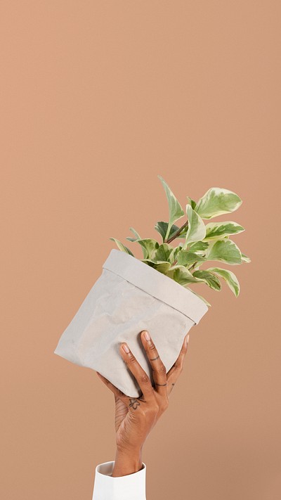 Hand holding plant save environment | Free Photo - rawpixel