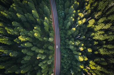 Aerial view road woods | Premium Photo - rawpixel