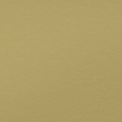 Olive plain color background paper | Free Photo - rawpixel