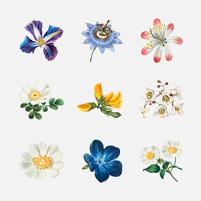 Vintage flower vector set hand | Premium Vector - rawpixel