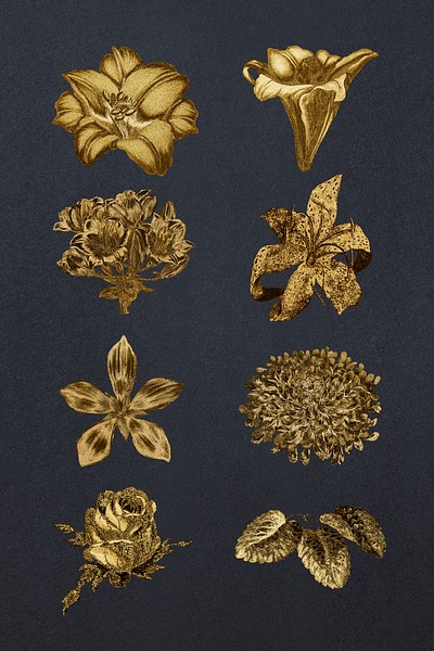 Vintage gold flower illustration set | Premium PSD - rawpixel